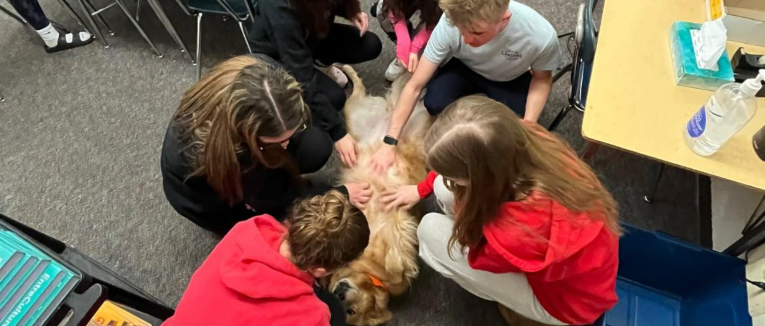 Pet Wars | Jostens Renaissance EducationJostens Renaissance Education